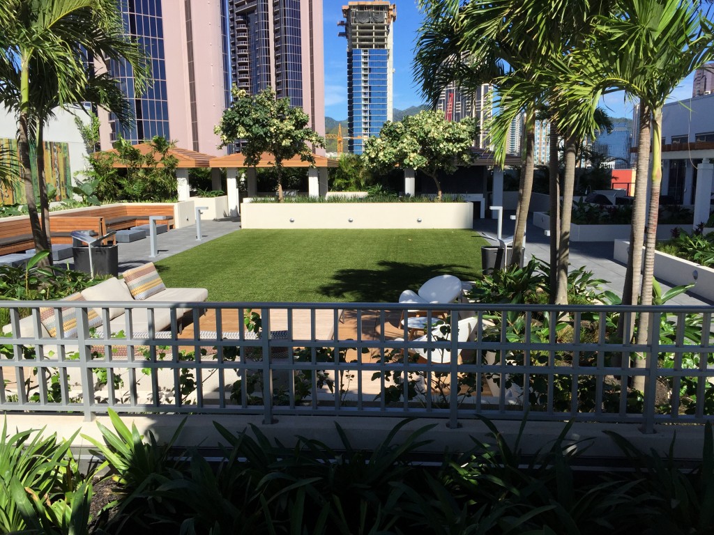 May’s Featured Artificial Turf Project | Southwest Greens Hawaii